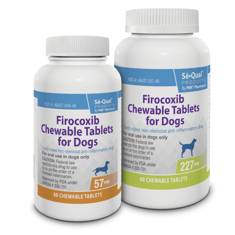 Pegasus Receives FDA Approval for Second Generic Pharmaceutical ...